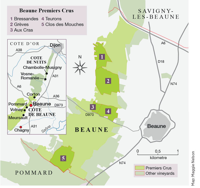 Beaune: heartland of value Burgundy | Decanter China 醇鉴中国
