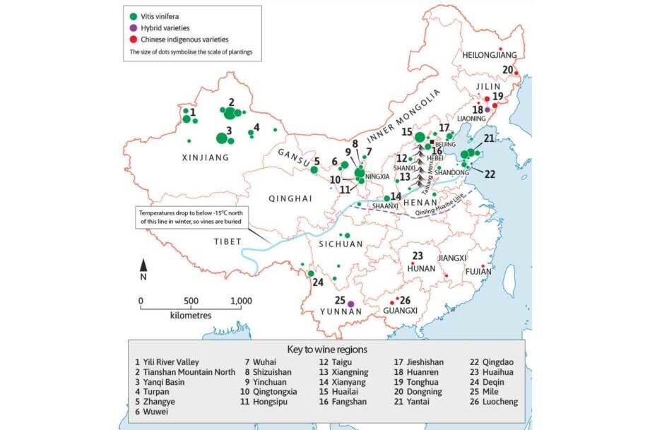 Chinese wine regions | Decanter China 醇鉴中国