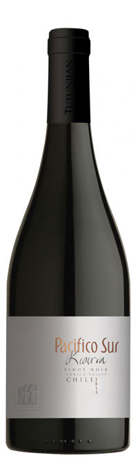 Pacifico Sur, Reserva Pinot Noir, San Antonio, 2014 | Decanter China 醇鉴中国
